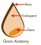 Whole Grain Goodness - Health Promotion